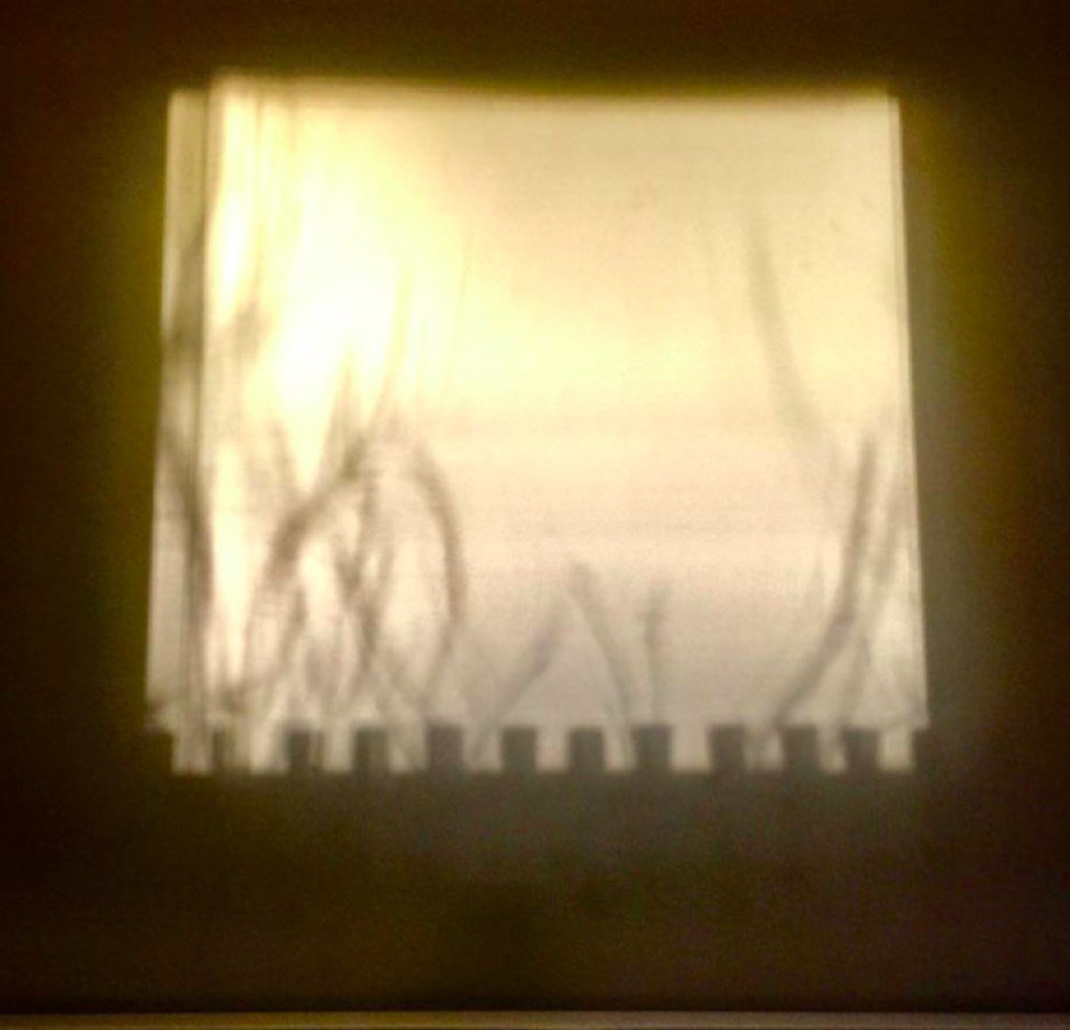 Writing & Concepts Lecture Series, Autumn Royal and Lucy Van - Buxton ...